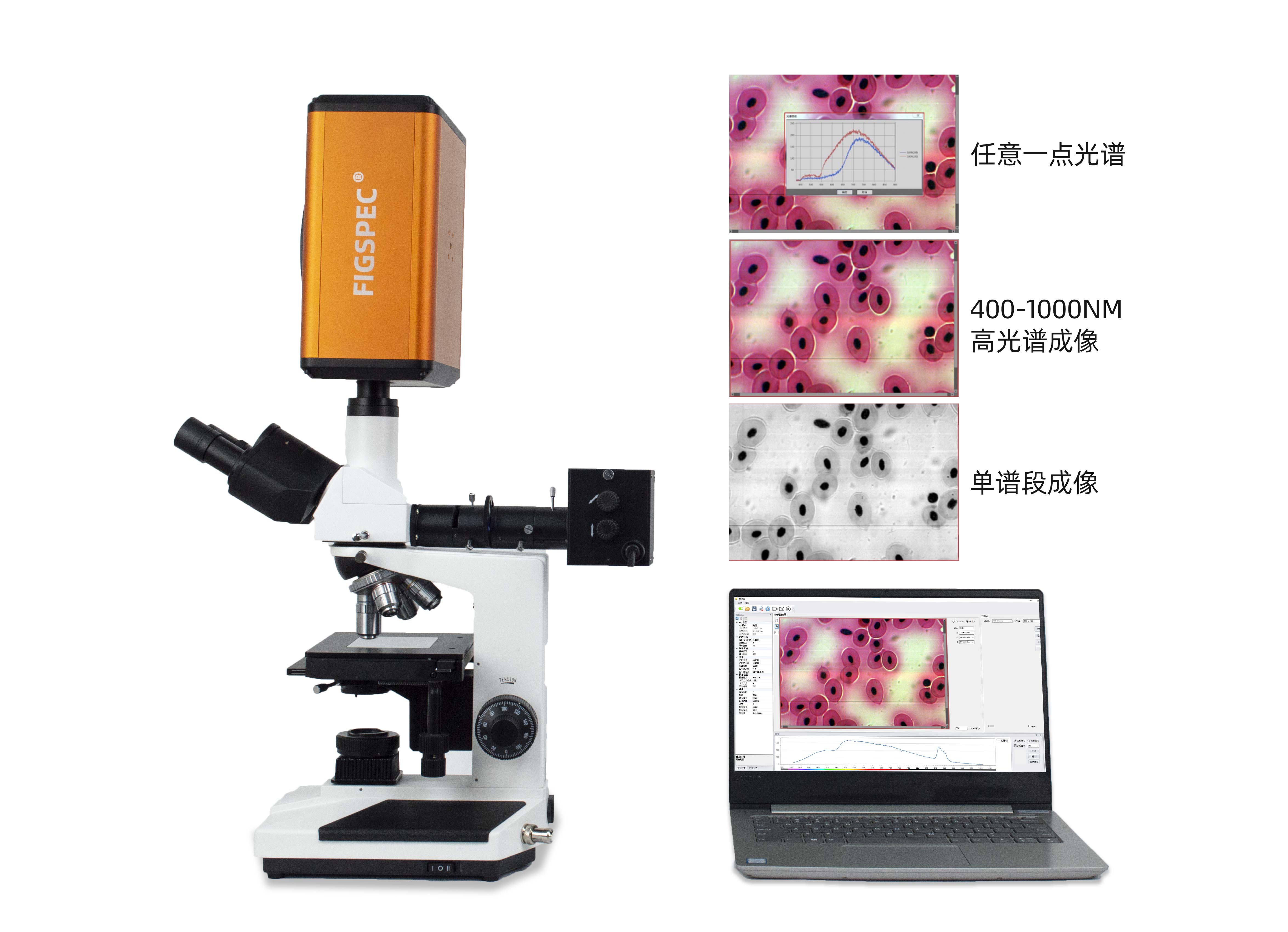 杭州彩谱科技有限公司