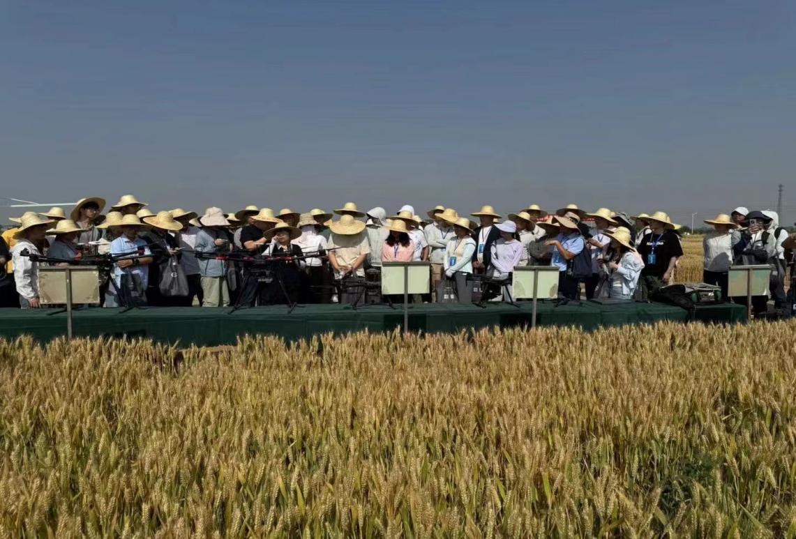 Airborne hyperspectroscopy provides wings for accurate identification ...