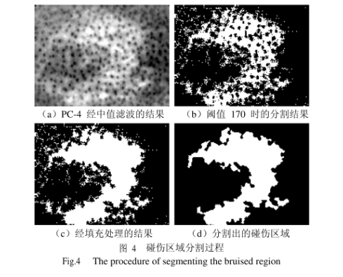 Hyperspectral detection of pear bruises - 高光谱相机
