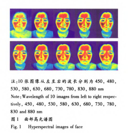 Imaging and spectral analysis of human face and palm using ...